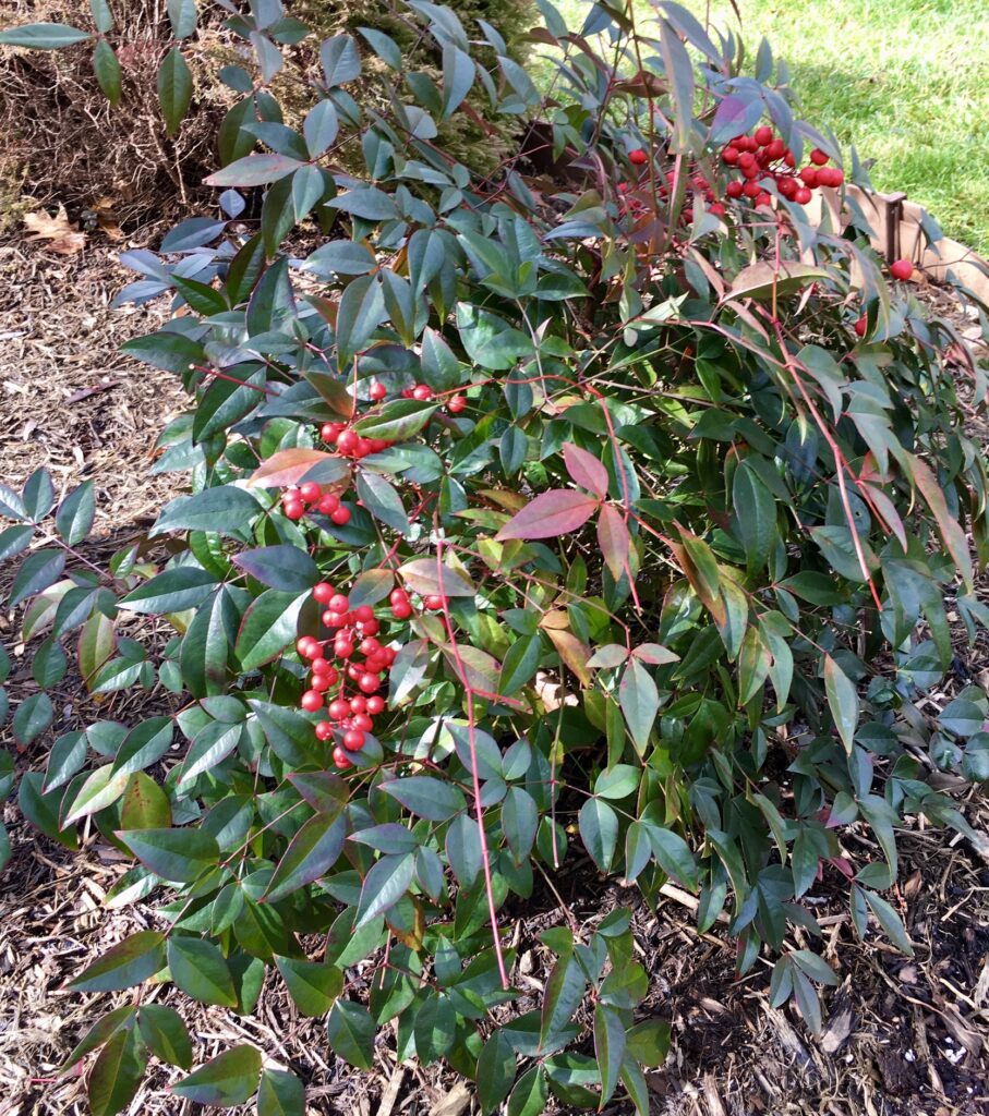 Just a Member – Chip Filson