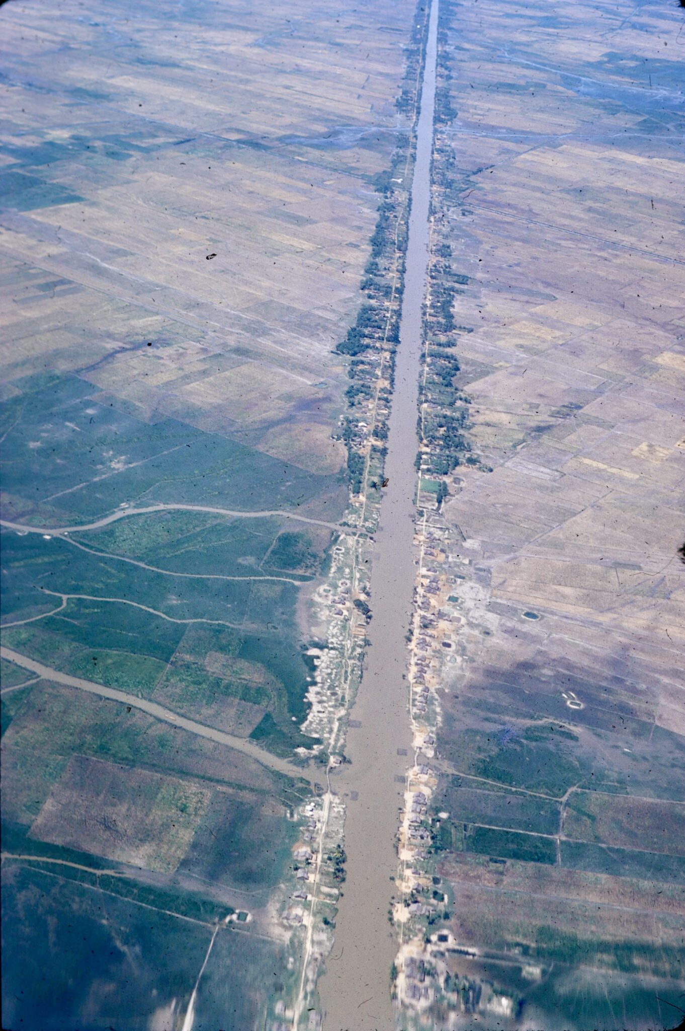 Just a Member – Chip Filson